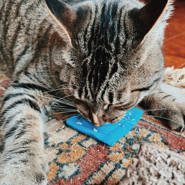 Catnip Filled Ravioli and Felted Meatball Cat Toy Gift Set - Etsy