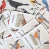 Toddler Flash Cards, Backyard Birds Printable Flashcards, Homeschool ...