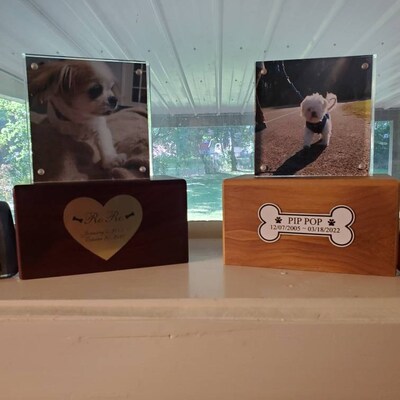 Pet Name Plate, Engrave Name Plate for Pet, Dog Engraved Plate, Cat ...