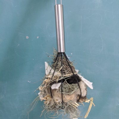 Fox Wire Farm Alpacas Bird Nesting Material - Etsy