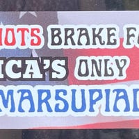 New Driver Pls Be Nice Sad Hamster Car Bumper Sticker Crying Funny Cute ...