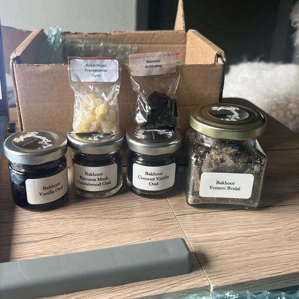 Onycha-operculum Hard - Operculum Shells, Sea Shells, Devils Nails ...