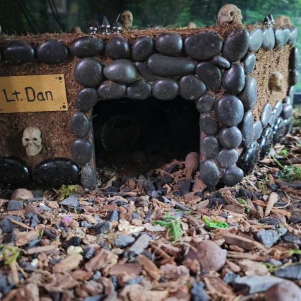 Reptile Hide Gothic Skull Lizard Enclosure Enrichment Terrarium ...