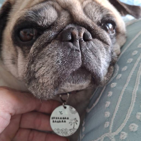 Lighthouse Dog Tag / Pet Name Tag / Dog ID Tag / Cat ID Tag / Pet ID ...