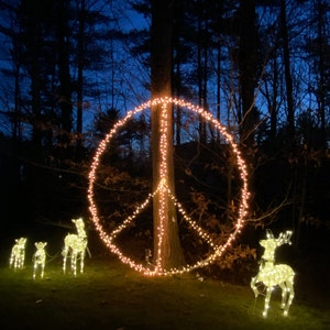 The Giant Peace Sign - Etsy