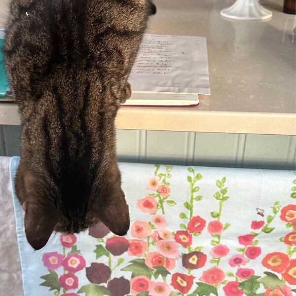 GIGGLE AND CHIPS A Friendly Funny Card .three Friends Having a Laugh ...