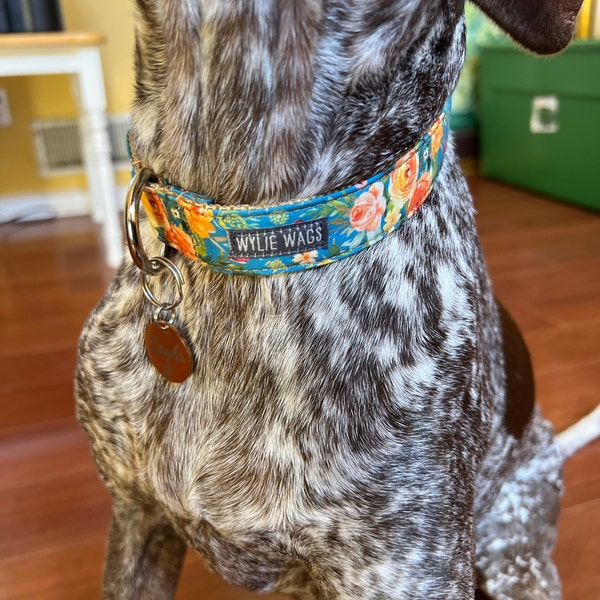 Fall Floral Dog Collar, Fall Dog Collar, Autumn Dog Collar, Fall Dog ...