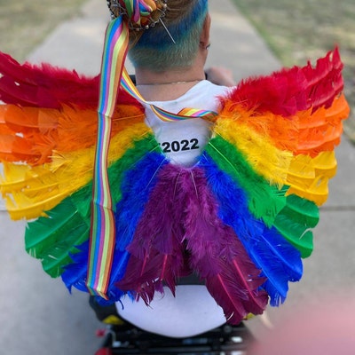 Rainbow PRIDE Feather Wings Carnival Costume Festival Wings, LGBTQ ...
