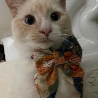KAWA BELLIS BLUE Japanese Cat Collar Bowtie Set // Take A Bow Handmade ...