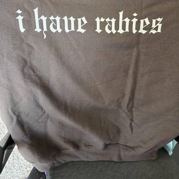 I Have Rabies Funny Hoodie, Unhinged Meme Sweatshirt, Grunge Y2k ...