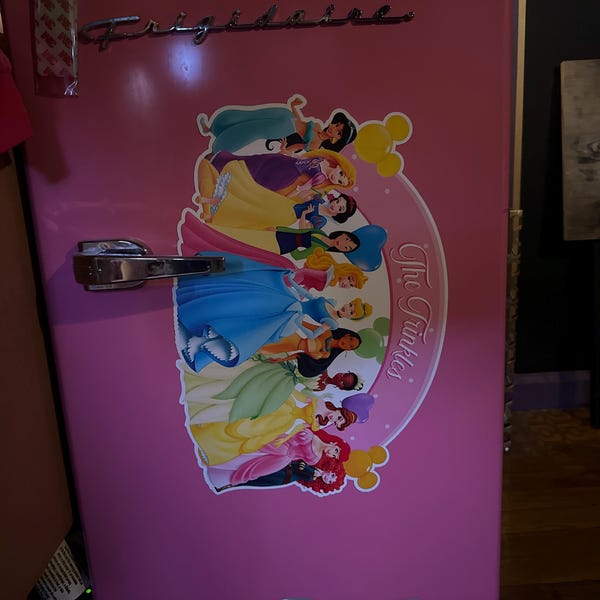 Cruise Magnet Decor, Princess Cinderella, Ariel, Elsa, Tiana, Snow ...