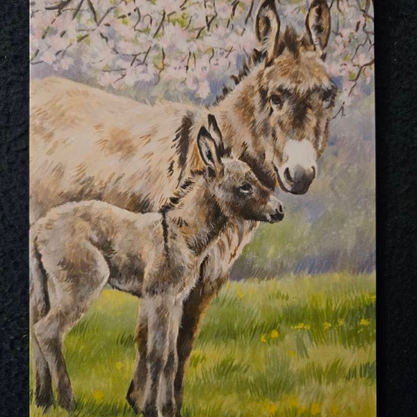 Horse Art Print "valegro and Charlotte Dujardin Signed Equestrian Print ...