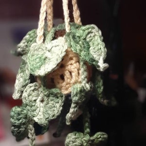 Crochet Car Plant Pothos PATTERN ONLY Pamelambie Tiktok - Etsy