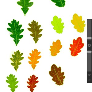 Hard Shell Sea Creatures Clipart Bundle. Marine Animals Vector Line Art ...