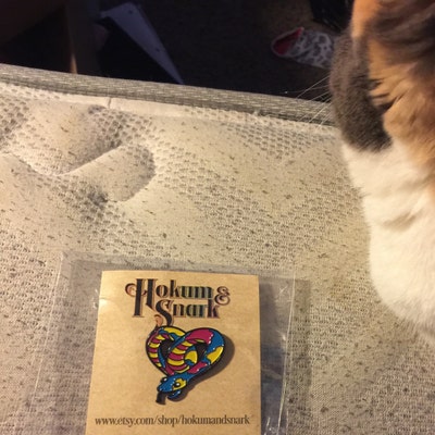 Pansexual Pride Noodle Cute Enamel Pin in Pan Pride Flag - Etsy