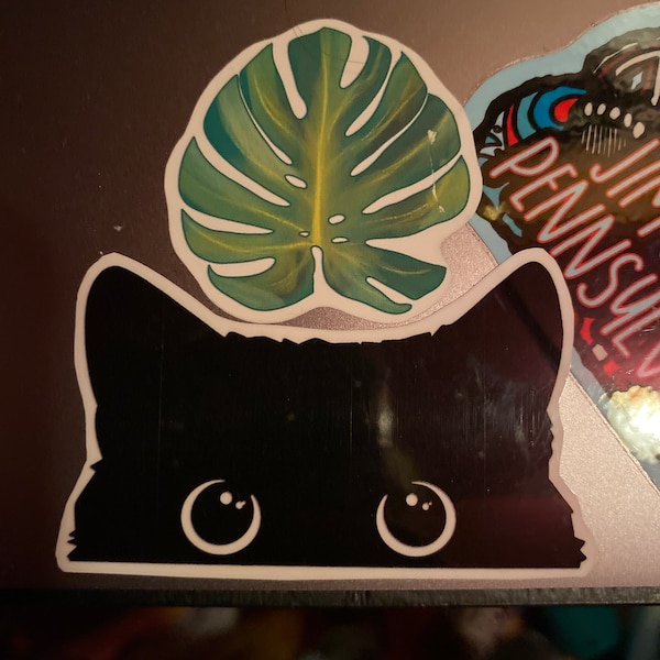 Peeking Cat Sticker - Etsy