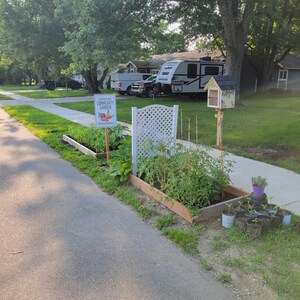 Octopus Sign, Octopus Lovers, Sassy Sign, Home for Beach, Ocean Sign ...