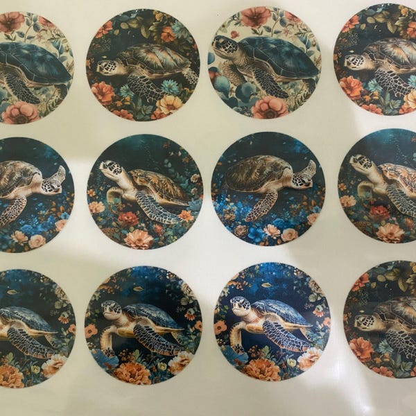 CUSTOM Edible Image Topper Birthday Icing Cupcake Favors Decoration ...