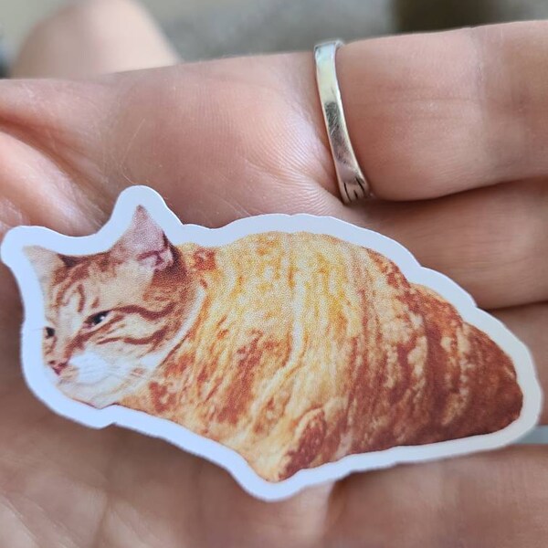 Cat Sticker American Traditional Style, Cool Cat Window Car Waterbottle ...