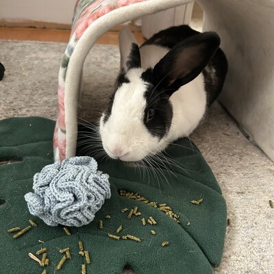 Bunny O's Cereal Treat Rabbit Fruit Loops Inspired Treat - Etsy