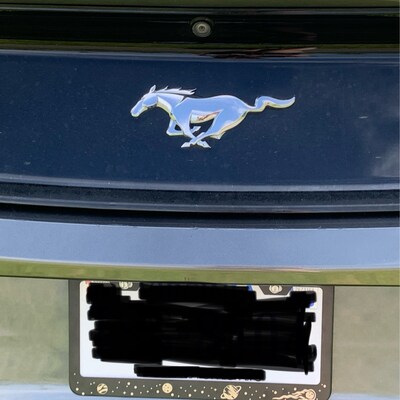 Liches Get Stitches D&D Dungeons and Dragons Inspired METAL Laser ...