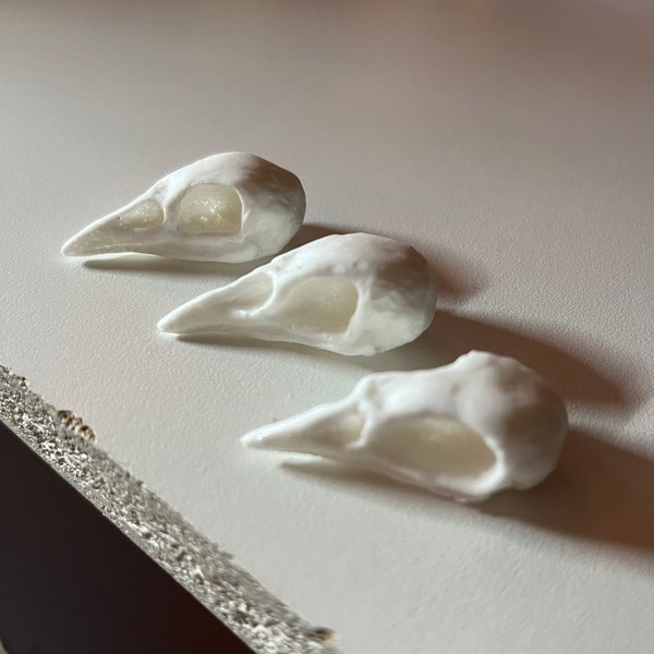 Small Resin Bird Skull - Etsy