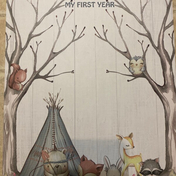 Woodland Animals Baby Keepsake Journal, Forest Animals Journal, First ...