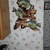 Crappie Replica - Crappie Wall Mount - Metal, Crappie Wall Art, Closed ...