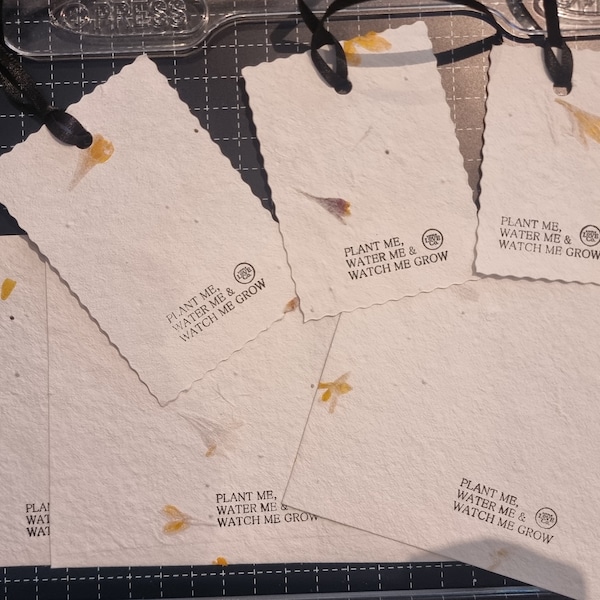 A4 Wildflower Seed Paper: Plantable Petal Paper, Eco Stationery - Etsy