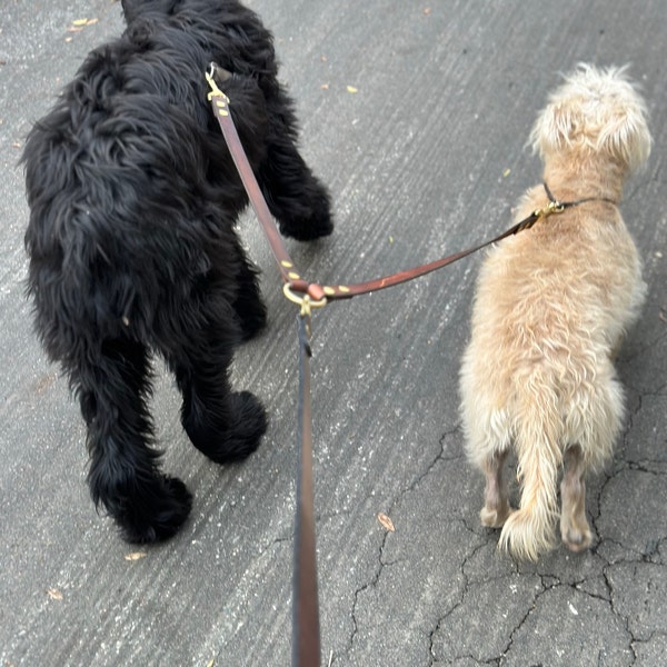 Dog Leash Coupler - Split Dog Leash - Dog Lead Coupler - Split Dog Lead ...