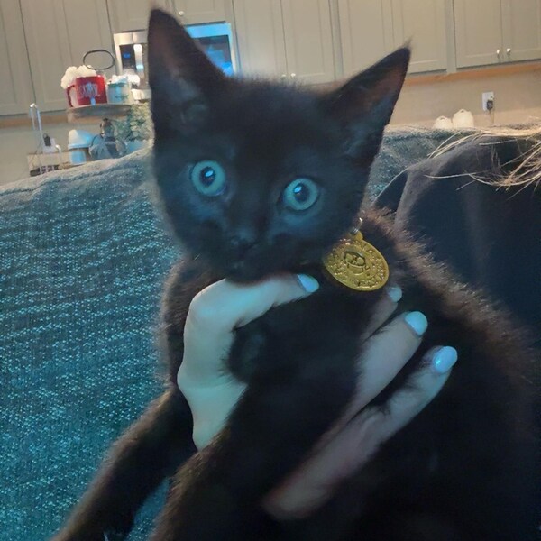 Binx is My Boo SVG - Etsy