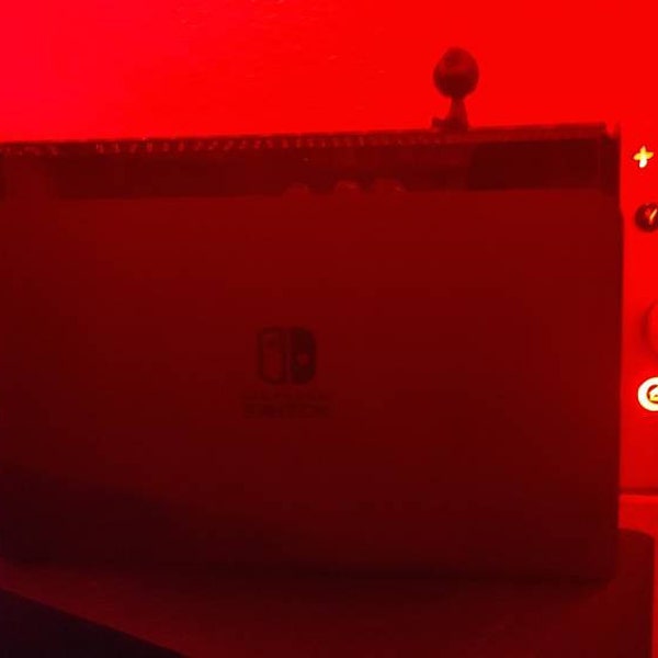 Retro Gameboy DMG-01 Style Custom Switch Lite - Etsy