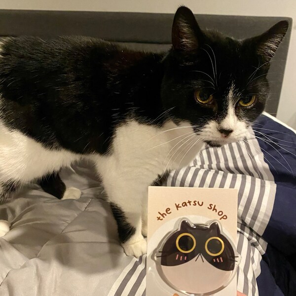 Cute Cat Phone Grip | Cat Phone Griptok | Griptok Phone Accessory ...