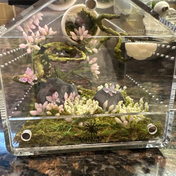 3x3x3 Decorated Enclosures - Etsy