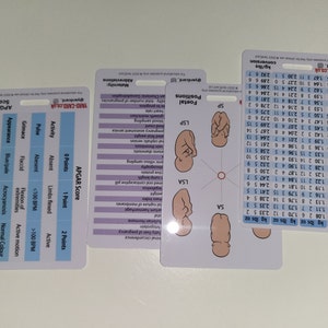 SBAR & Glasgow Coma Scale Badge Card for Student Nurses, Medical ...