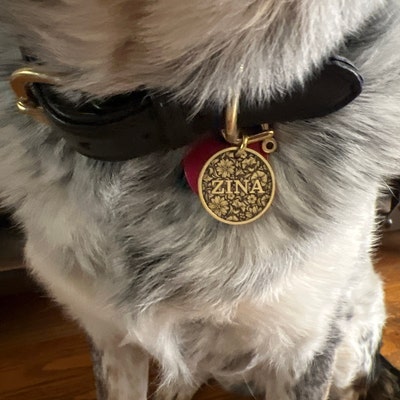 Brass Dog Tag, Personalized Brass Pet ID Tag, Custom Cat Tag, Unique ...