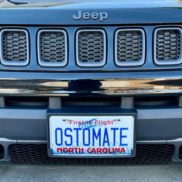 We the People Constitution Bald Eagle and American Flag 6x12 License ...