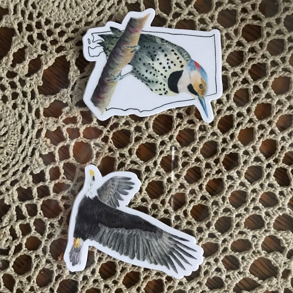 Florida State Bird Sticker Backyard Bird Sticker Birdwatcher Waterproof ...