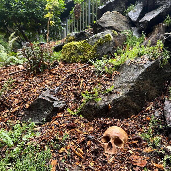 Garden Skull, Creepy Garden Decor, Garden Gifts, Halloween Garden Decor ...