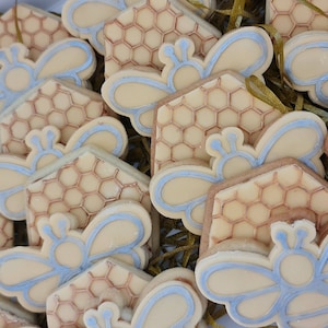 Graduation Scroll Cookie Cutter and Stamp Graduation Cookie | Etsy