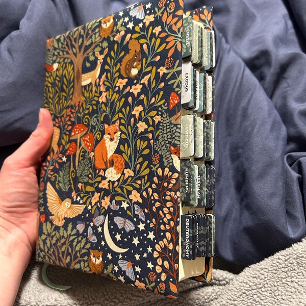 Reversible Book Cover Adjustable Bible Pouch Reusable Fabric Dust ...