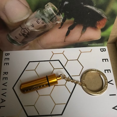 The Original Bee Revival Kit Gold Edition - Etsy