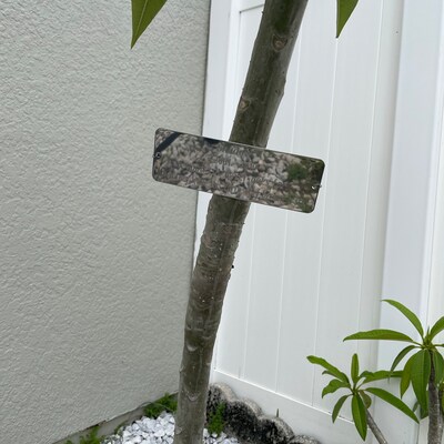 Original Tree Tag Hugger Engraved Tree Safe Memorial Plaque official ...