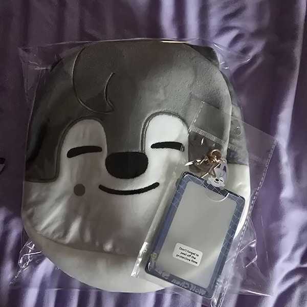 Skzoo Mini Backpack, Embroidered Fan Made Mini Bag for Stray Kids Fan ...