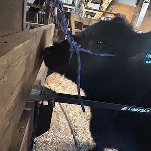 Scroll, Tooled Leather Pattern, Rolling Pin, Laser Engraved Rolling Pin ...