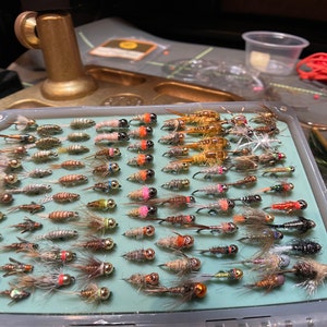 Hydropsyche Caddis Larva Trout Flies Colorado Fly Fishing Flies Caddis ...