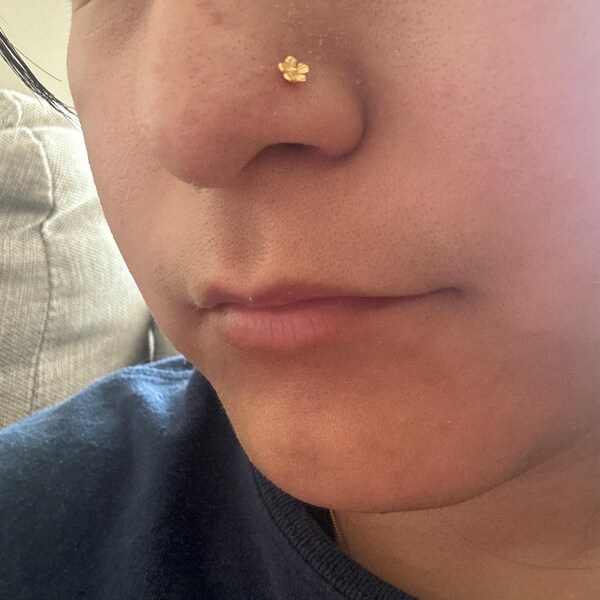 Bug Nose Stud, Insect Nose Ring, Ladybug, Fly, Animal Unique Nose Screw ...