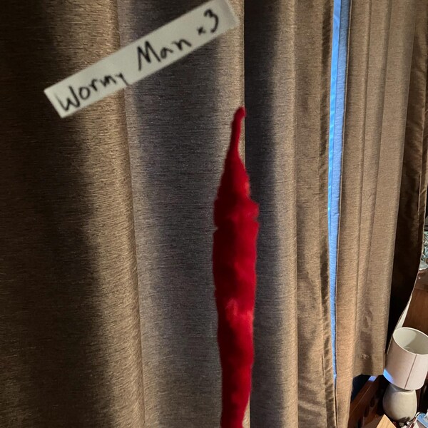 Worms, Magical Worms, Wormies, Worms on a String, Silly Worms, Colorful ...