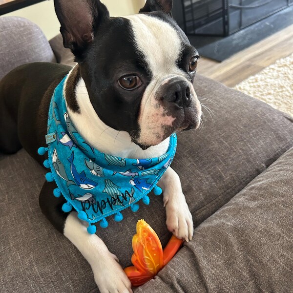 American Flag Dog Bandana, Memorial Day/july 4th, Tie & Snap Style ...
