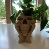 Happy Skull Horror Planter Unique Plant Pot, Witchy/goth Decor Bedroom ...